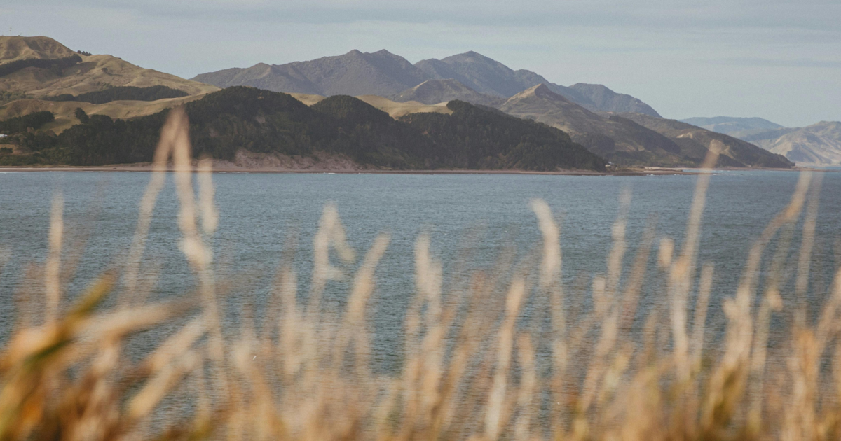 Red Seal International Distributors - Red Seal US